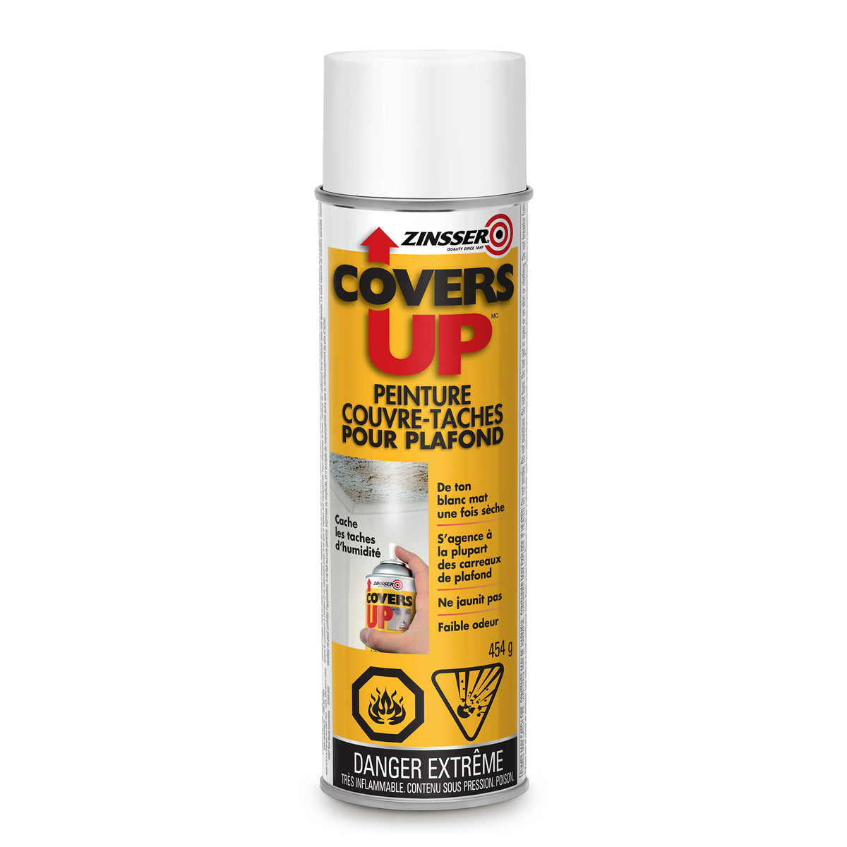 Zinsser Covers Up Ceiling Paint & Primer — Epoxy TO/GO
